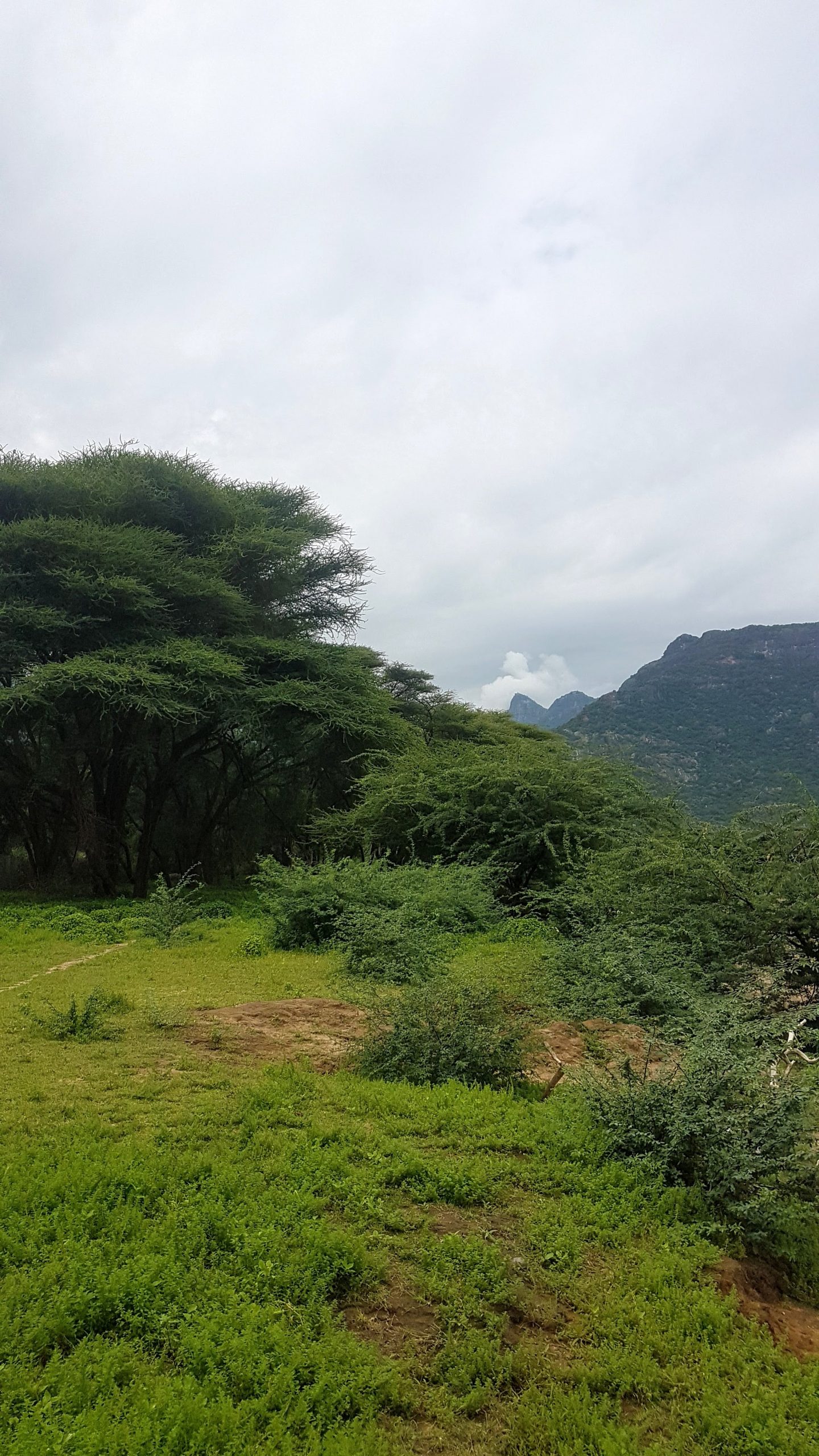 "Lake Turkana, Ngurunit, Chalbi Desert and Marsabit Crater Lakes ...