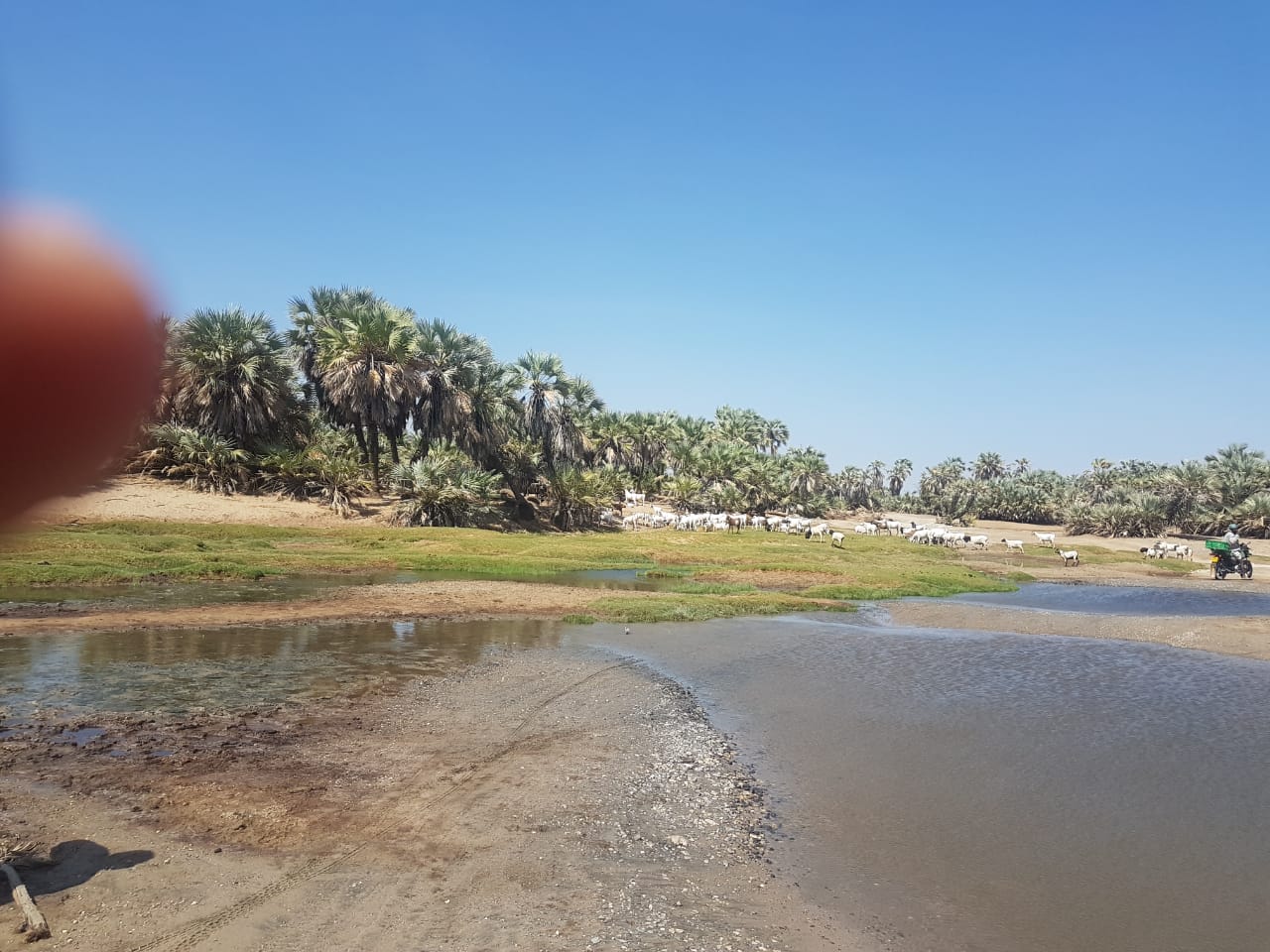 "Lake Turkana, Ngurunit, Chalbi Desert and Marsabit Crater Lakes ...
