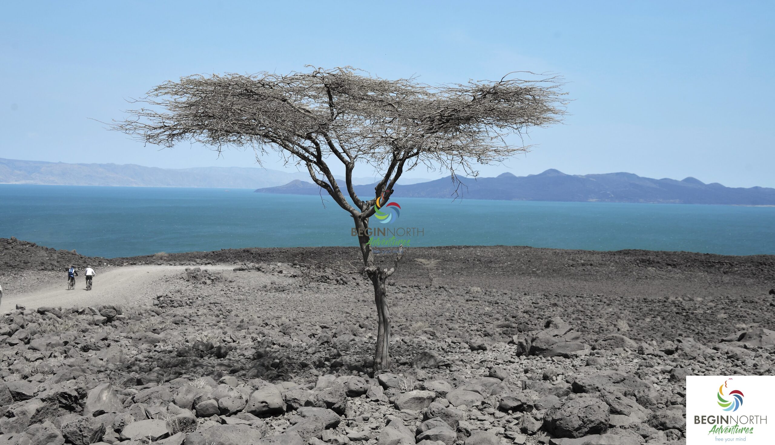 The Ultimate Kenya Desert Safari (with Photos and Video) - Kenya's North